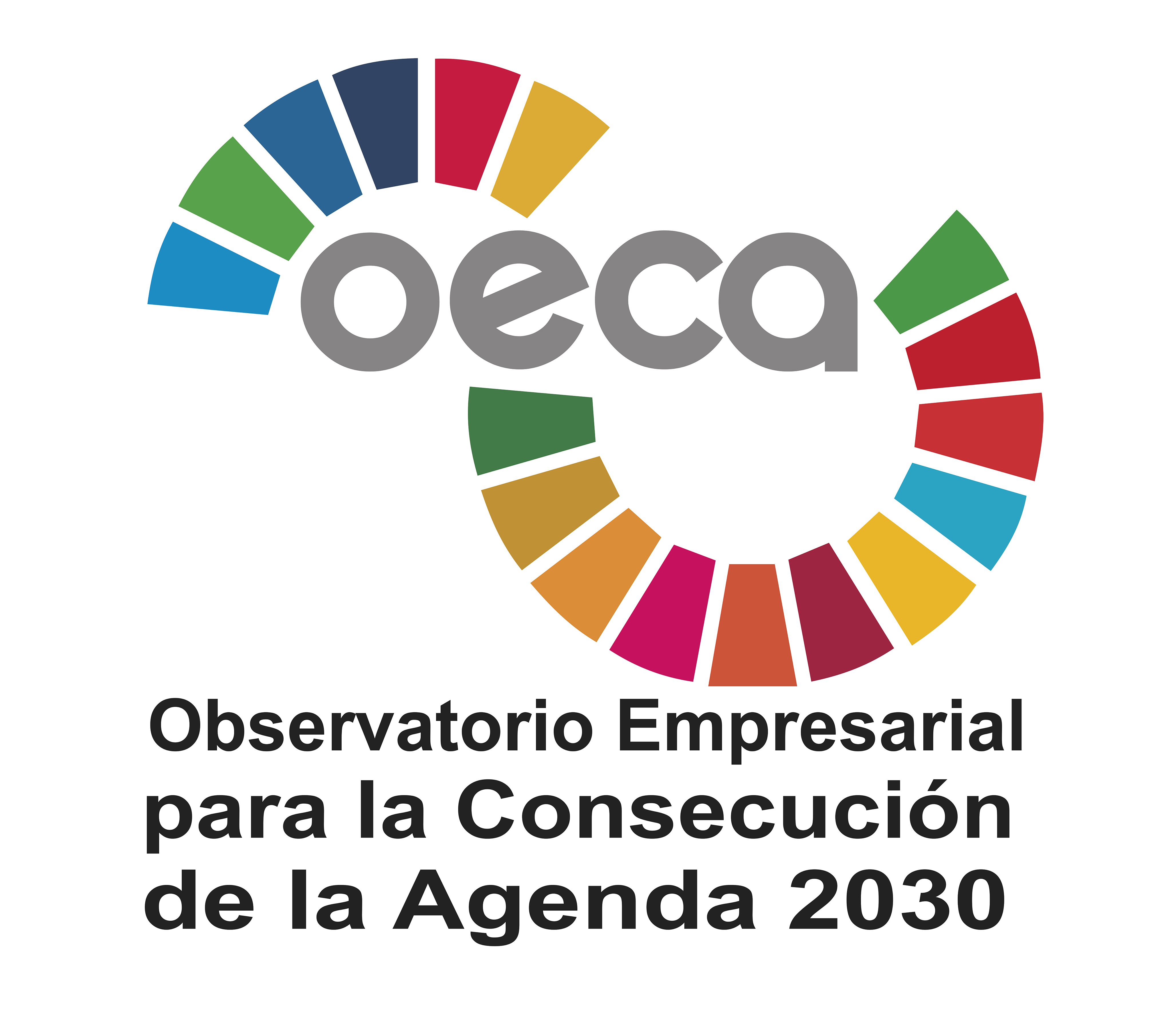 OECA – Video del reportaje en Canal Sur TV | Manuel Bellido